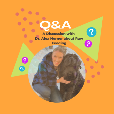 A Raw Feeding Vet - The Q & A with Dr. Alex Horner, DVM – Doodle Dogs