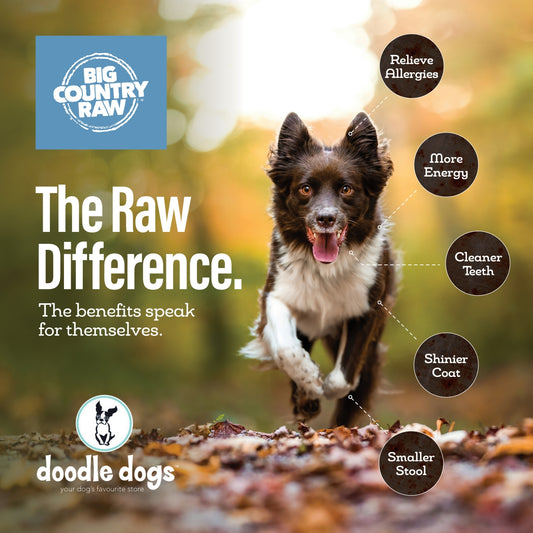 Doodle Dogs - Your Dog's Favourite Store