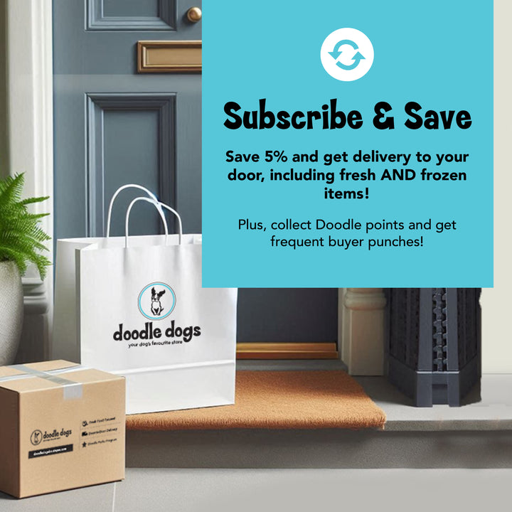 Doodle Dogs - Your Dog's Favourite Store